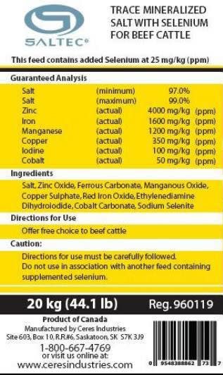 Red Saltec T.M. Salt Block 20kg – Settlers Supplies