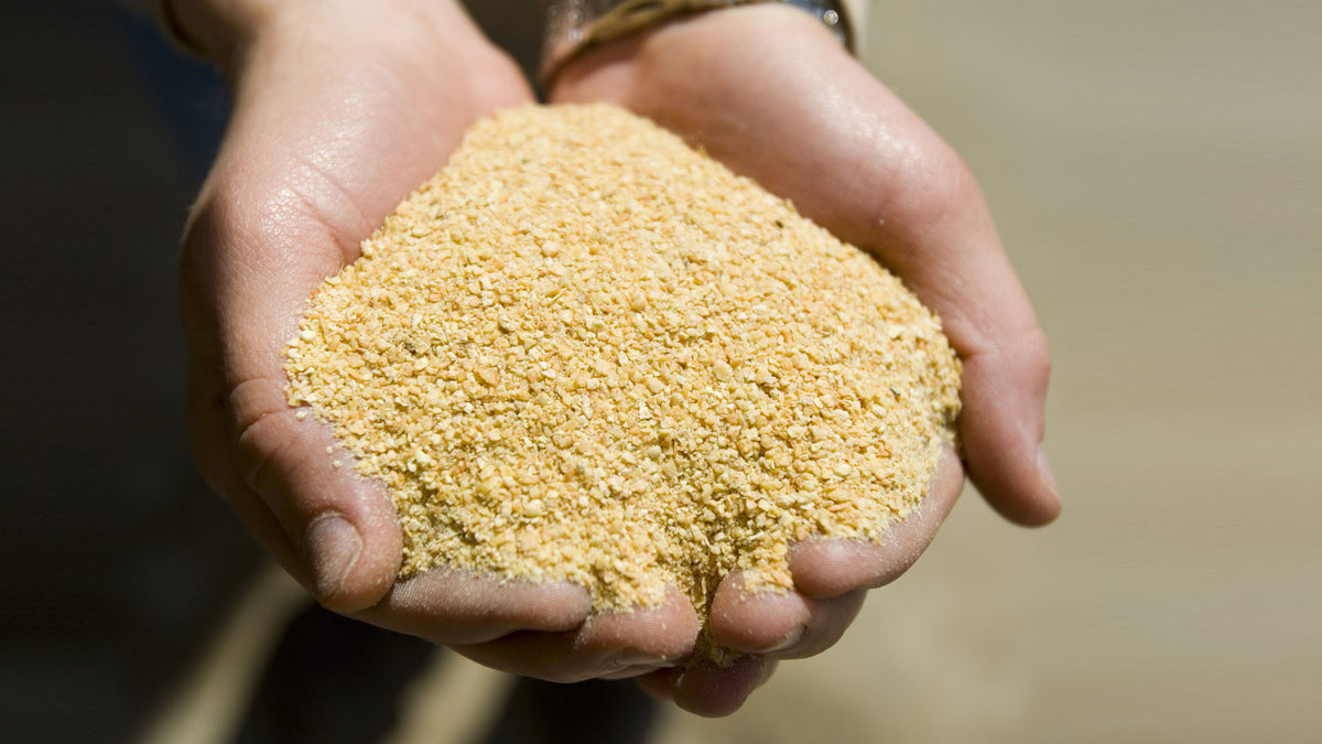 Soybean Meal, 25kg – Settlers Supplies
